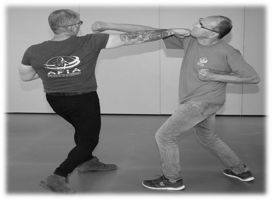 DEFENSA PERSONAL OPERATIVA Y DEFENSA PERSONAL TÁCTICA: ENFOQUES Y ...